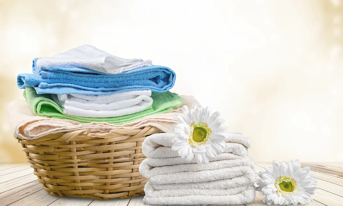 About Us - Del Monte Laundry Co.